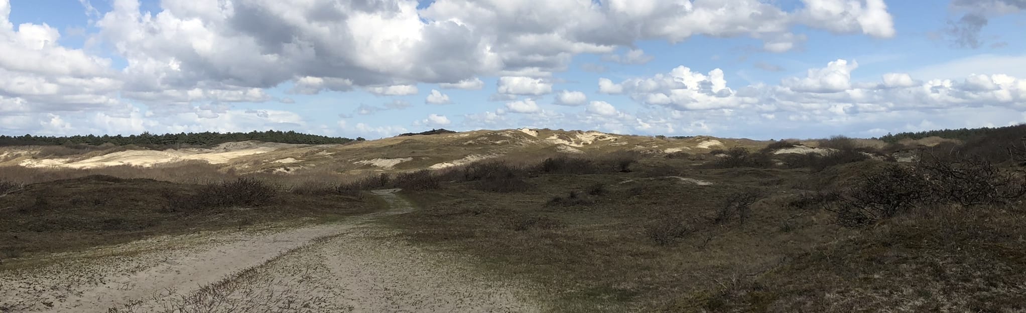 Het Woud - Forest - Dunes: 9 Reviews, Map - North Holland, Netherlands ...