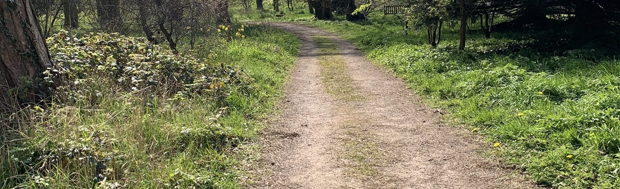 Ness Gardens, Cheshire, England - 6 Reviews, Map | AllTrails