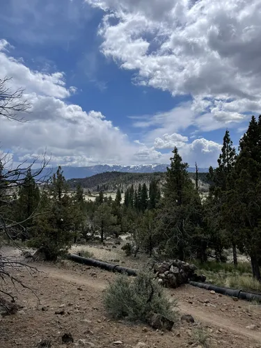 10 Best Trails and Hikes in Susanville | AllTrails