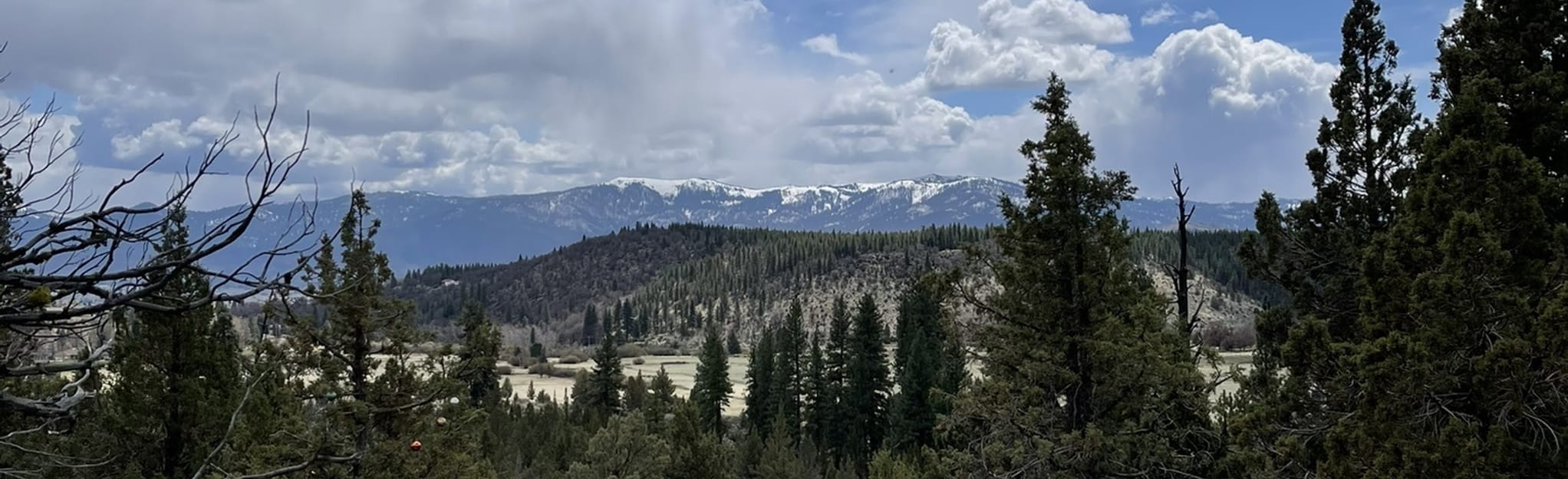 Canyon Trail, Coyote Bluff, Bagwell Butte, and Twin Pines Loop ...