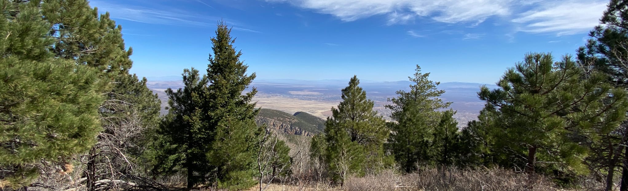 Carr Peak via Old Sawmill Spring Trail, Arizona - 49 Reviews, Map ...