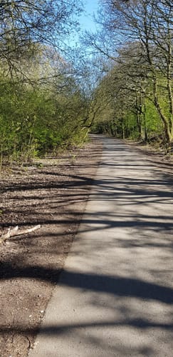 Best Hikes and Trails in Halewood Triangle Country Park | AllTrails