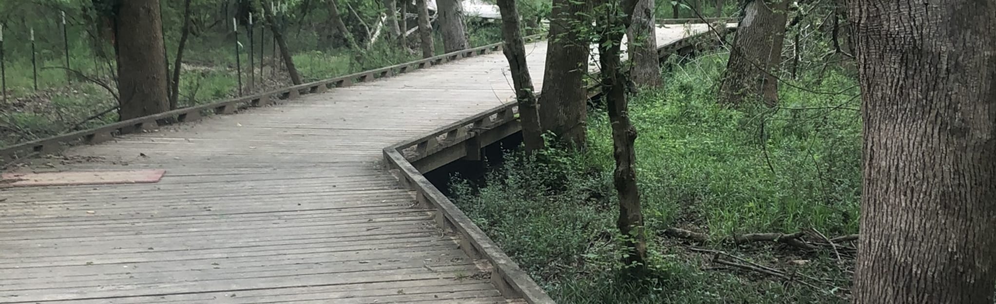 Swamp Rabbit Trail: Churchill Circle to I85, South Carolina - 136 ...