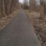 Route 390 Trail, New York - 61 Reviews, Map | AllTrails