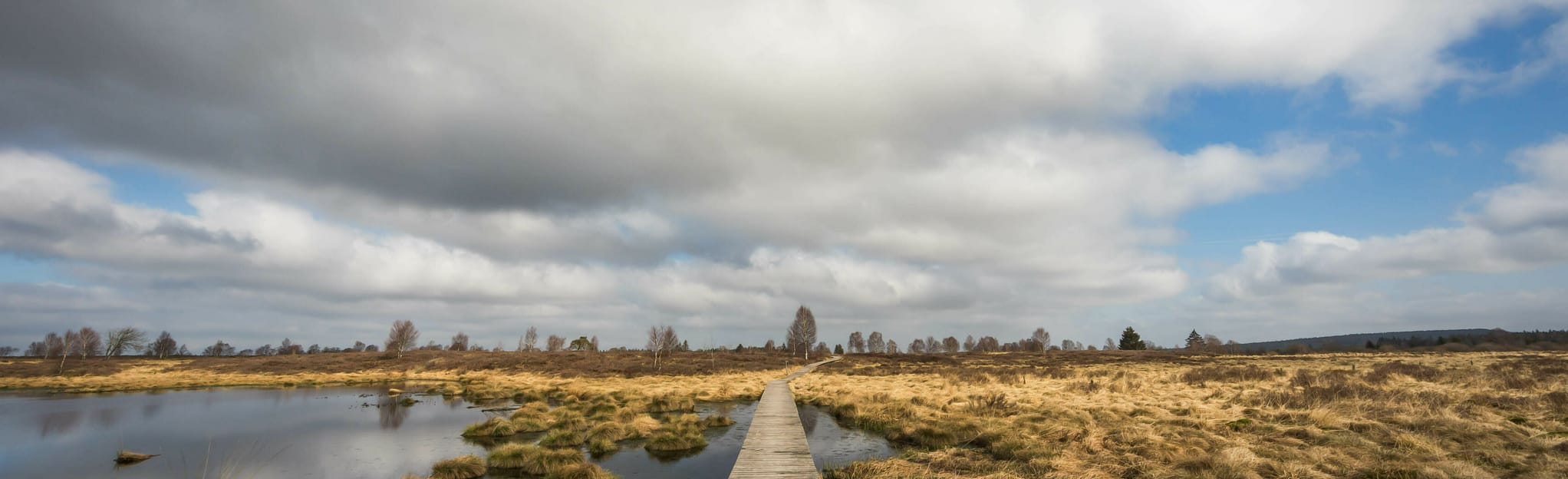 Hautes Fagnes plateau - Brackvenn | Mapa, Roteiro - Liège, Belgium ...