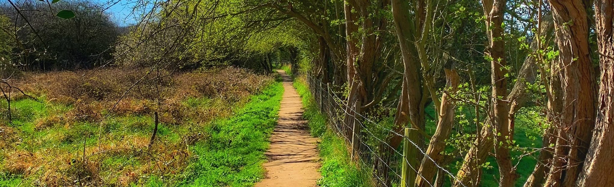 Esk Valley Walk: Egton to Whitby: 27 Reviews, Map - North Yorkshire ...