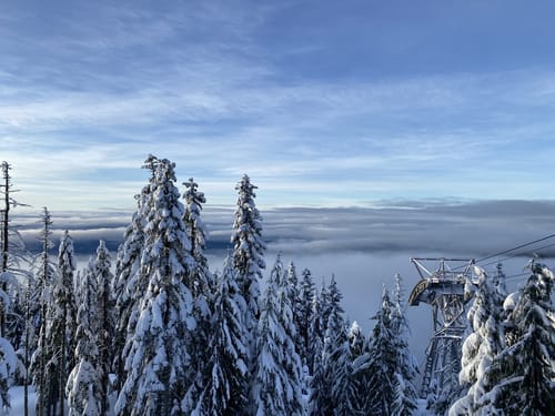 Best 10 Hikes and Trails in Grouse Mountain Park | AllTrails