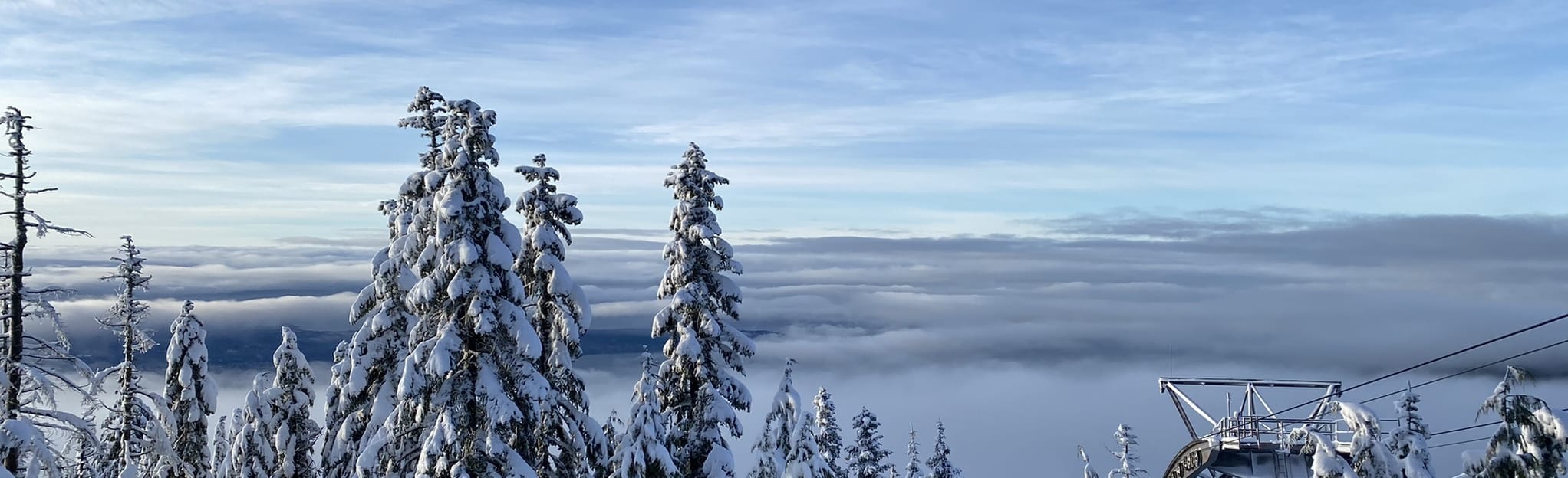Grouse Mountain via Larsen Trail and BCMC Trail, British Columbia ...