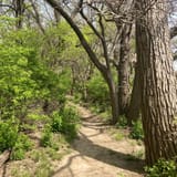 Manhattan River Trail, Kansas - 148 Reviews, Map | AllTrails