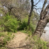 Manhattan River Trail, Kansas - 148 Reviews, Map | AllTrails