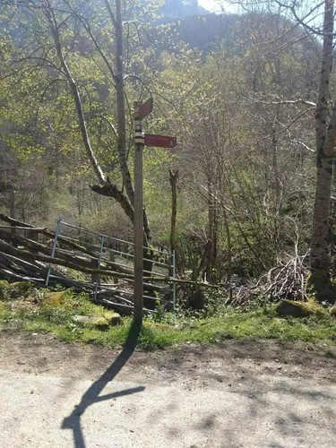 Best Historic Site Trails in Ponga Nature Park | AllTrails