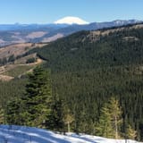 Tarbell Trail Hidden Falls , Washington - 110 Reviews, Map | AllTrails