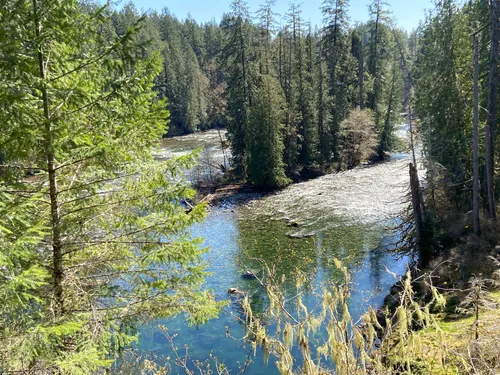 Best Hikes and Trails in Stamp River Provincial Park | AllTrails