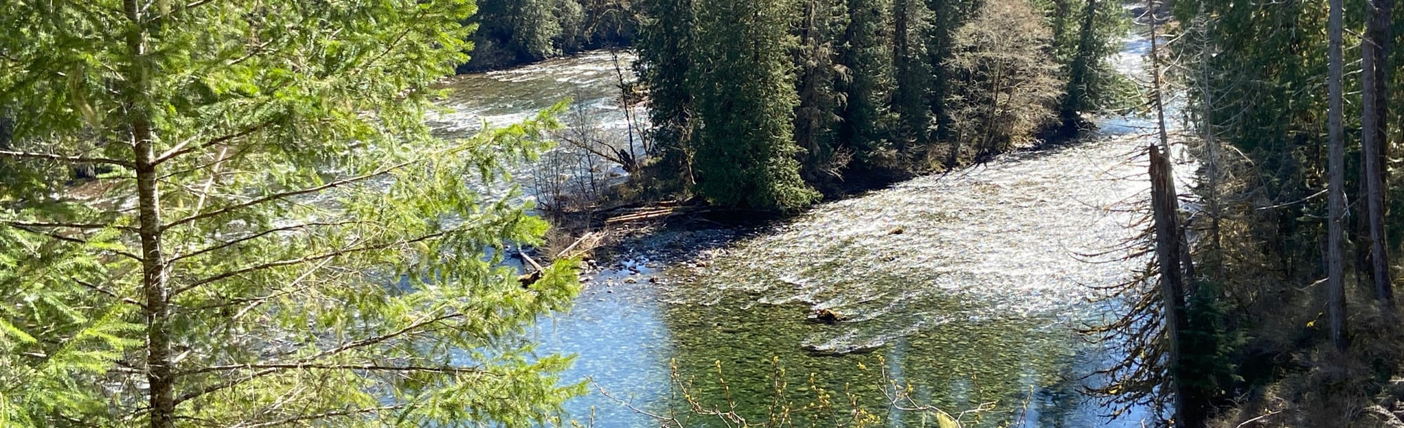 Stamp Falls Trail: 216 foto's - Brits-Columbia, Canada | Wandelen ...
