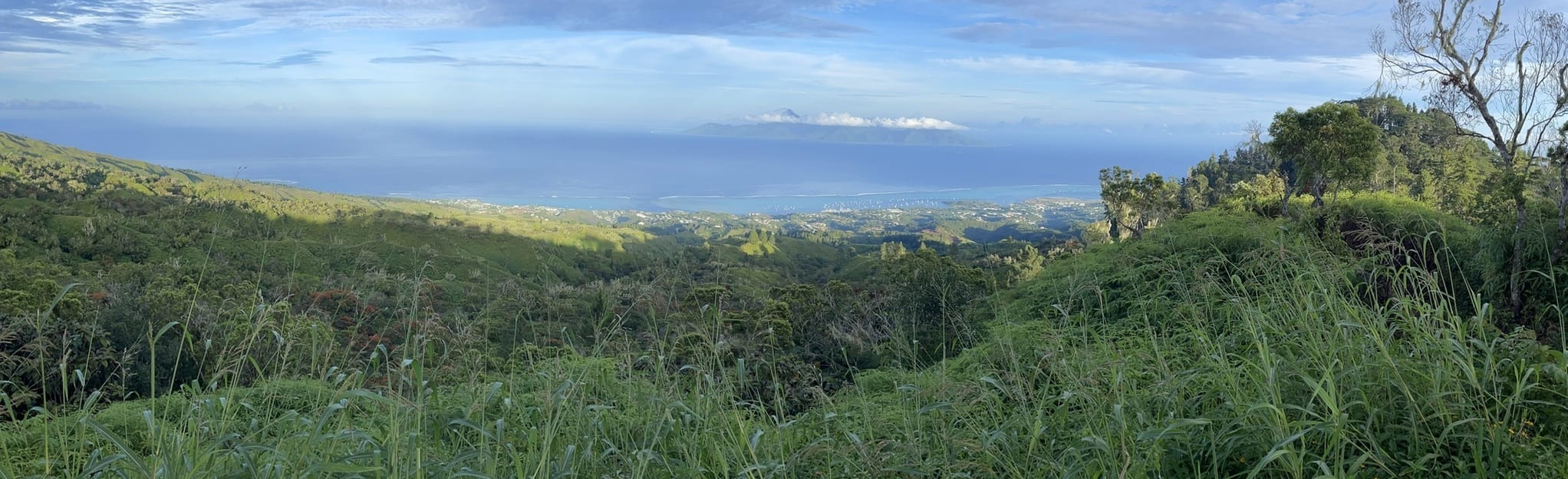 Mount Marau: 27 Reviews, Map - Tahiti, French Polynesia | AllTrails