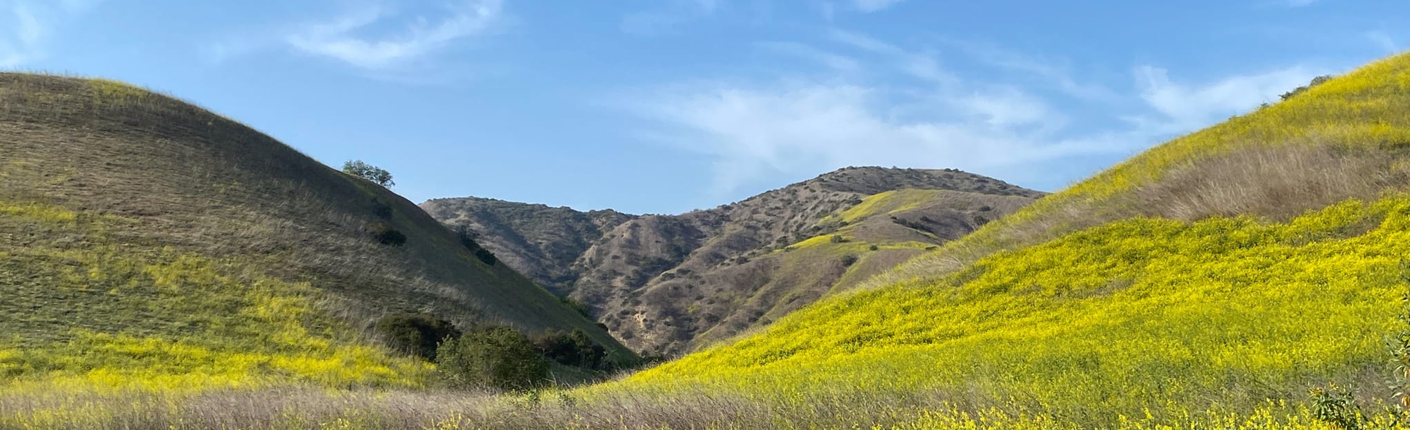 Gilman Peak via Easy Street, Telegraph Canyon, Gilman and South Ridge ...