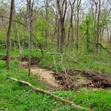 Bootleg Access Trail, Missouri - 72 Reviews, Map | AllTrails