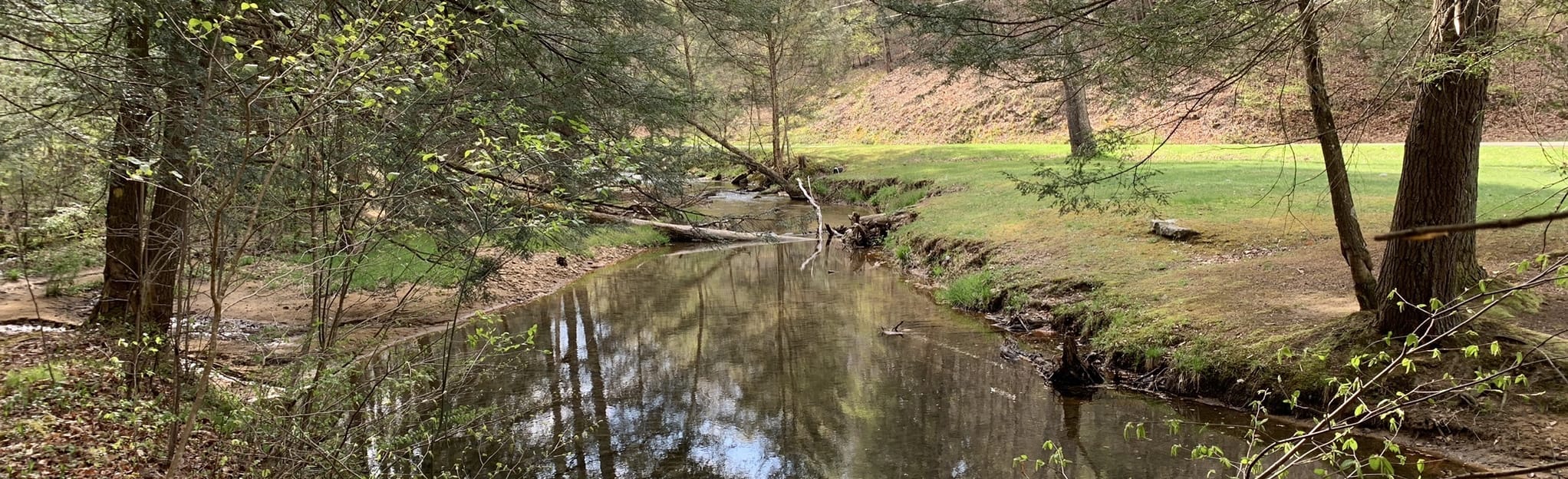 Davis Creek Trail: 179 Reviews, Map - West Virginia | AllTrails