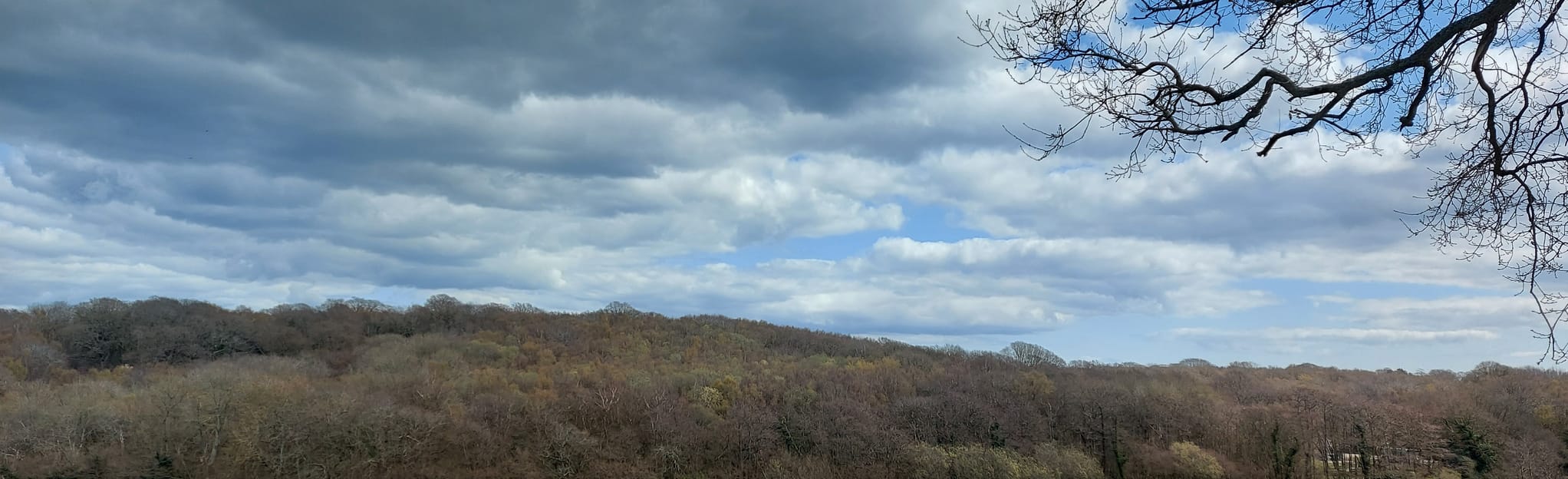Guestling Church Woods Walk, East Sussex, England - 18 Reviews, Map ...