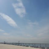 Jones Beach Bike Path and Ocean Parkway Path, New York - 420 Reviews ...