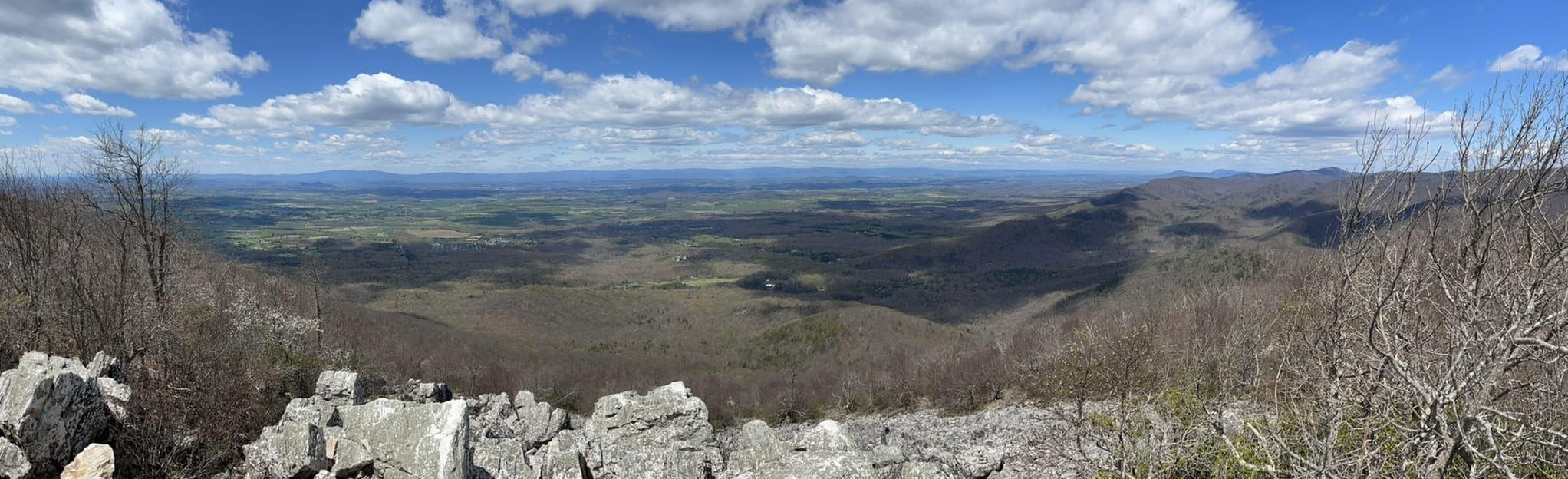 Jarman to Turk's Mountain Loop, Virginia - 348 Reviews, Map | AllTrails