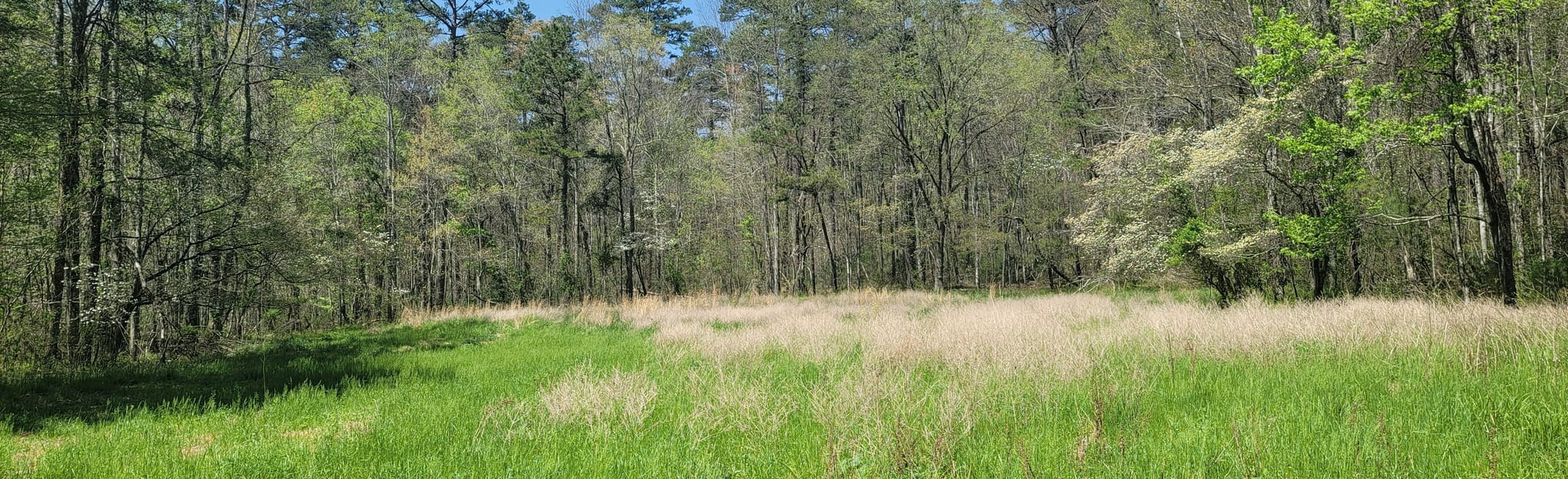 Clemmer, Benton Falls, Clear Creek, and Clemmer Spur Loop: 245 Reviews ...