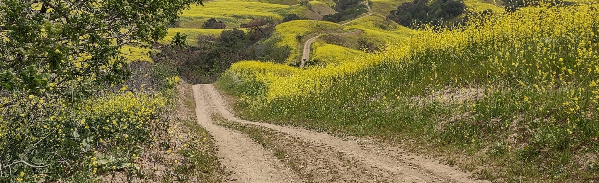 Telegraph Canyon and Raptor Ridge, California - 40 Reviews, Map | AllTrails
