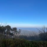 Lake Mountain and Keppel Hut Loop, Victoria, Australia - 76 Reviews ...
