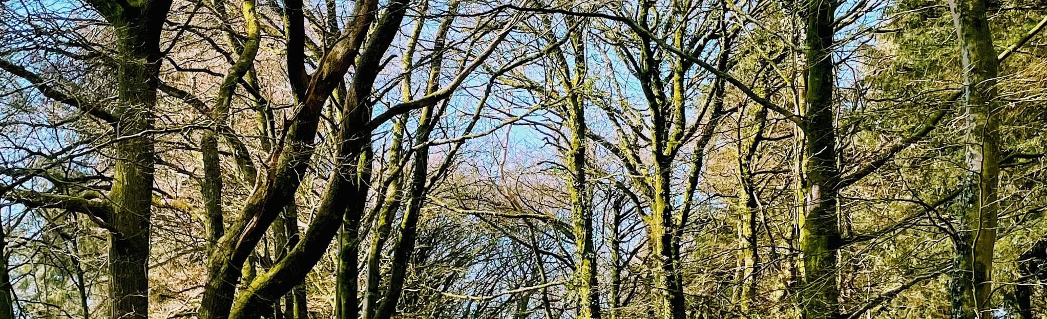 White Cross and East Devon Circular, Devon, England - 24 Reviews, Map ...