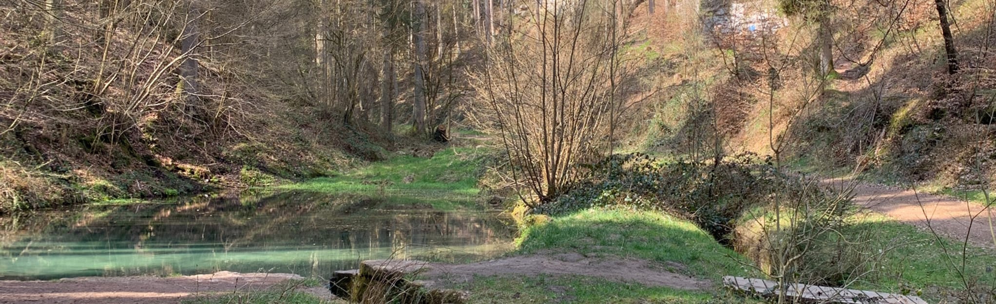 Mullerthal Trail Route 2: Consdorf - Echternach: 782 foto - Cantone di ...