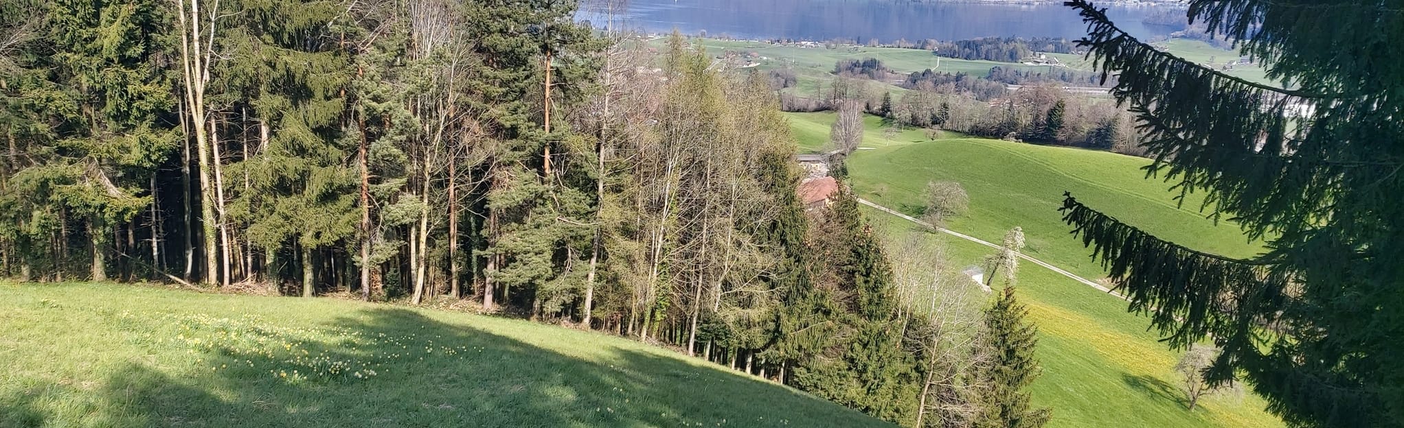 Rotkreuz - Risch - Chappelerberg - Zug, Switzerland | AllTrails