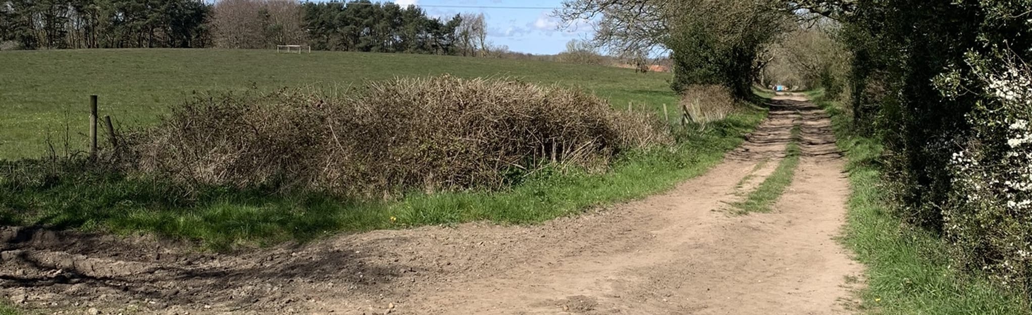 AllTrails | Bacton Wood Short Circular: 6 Reviews, Map - Norfolk, England