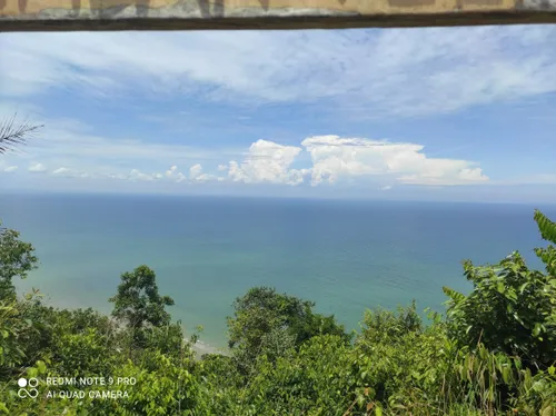 Best Forest Trails in Papar | AllTrails