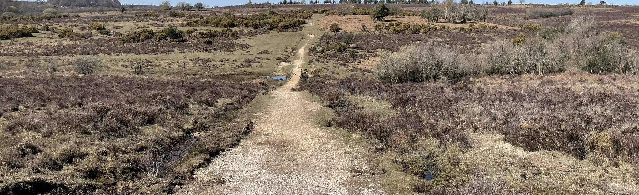 Acres Down and Lucas Castle, Hampshire, England - 42 Reviews, Map ...