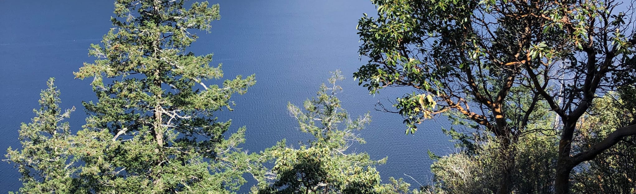 Malahat Viewpoint via Timberman Trail: 113 Reviews, Map - British ...