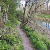 Stodmarsh NNR Circular, Kent, England - 89 Reviews, Map | AllTrails