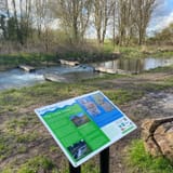 Stodmarsh NNR Circular, Kent, England - 89 Reviews, Map | AllTrails