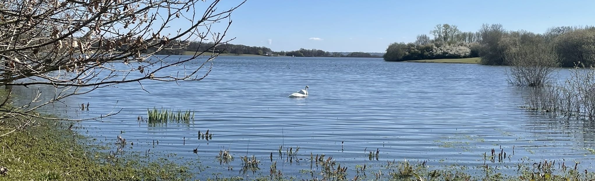 Bough Beech Reservoir: 7 Reviews, Map - Kent, England | AllTrails