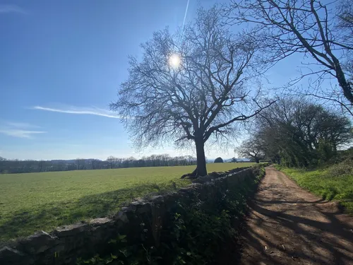 Best City Walk Trails in Mendip Hills National Landscape (AONB) | AllTrails