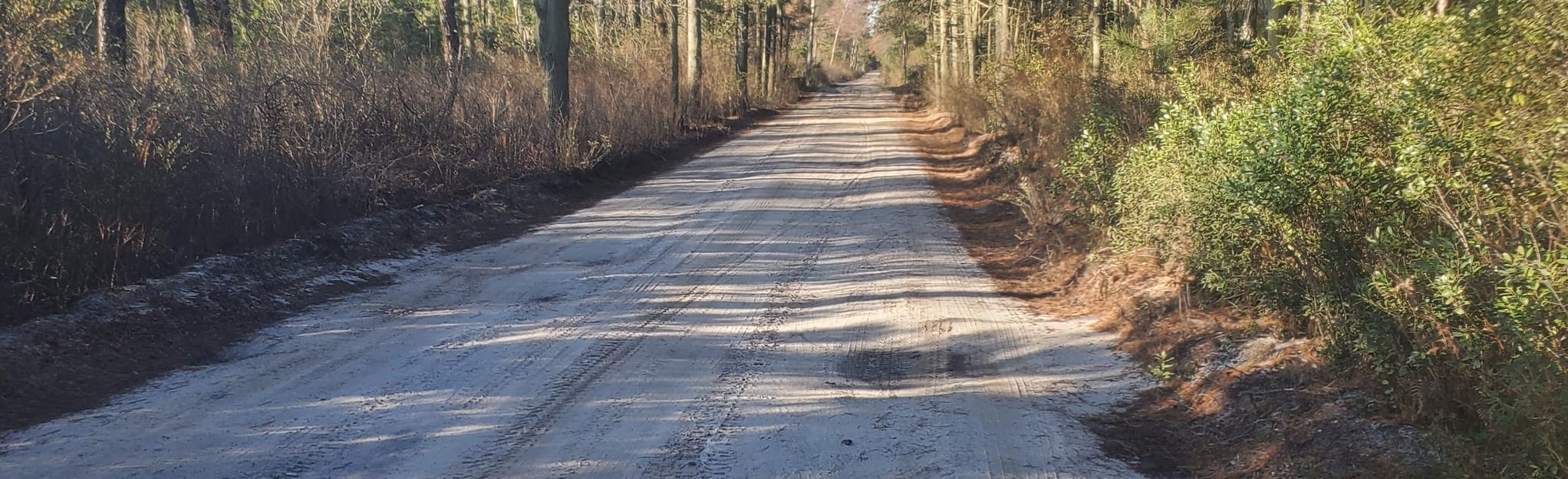 Burnt Mill and Maple Island Loop, New Jersey - 42 Reviews, Map | AllTrails