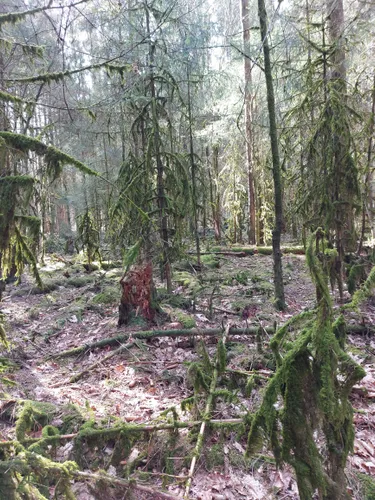 Hachiville : les meilleures randonnées et itinéraires en 2023 | AllTrails