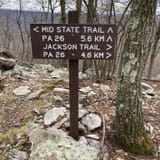 Jackson Trail, Pennsylvania - 196 Reviews, Map | AllTrails