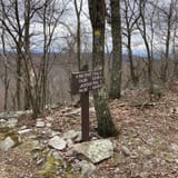 Jackson Trail, Pennsylvania - 196 Reviews, Map | AllTrails
