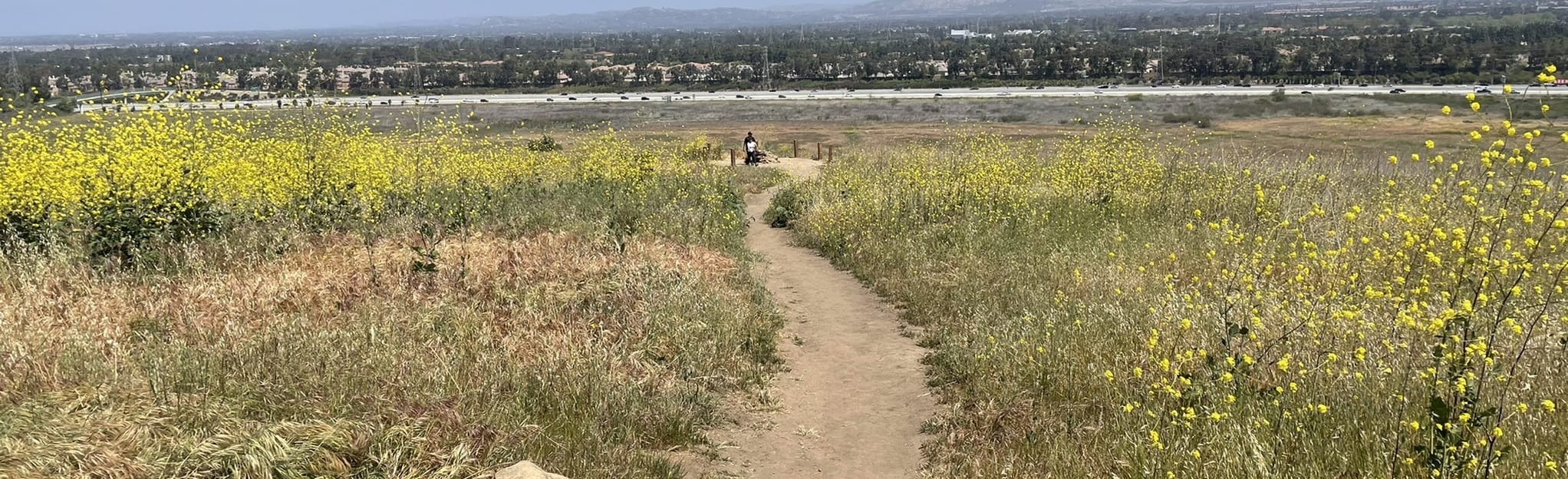 Quail Loop Trail, California - 1,509 Reviews, Map | AllTrails