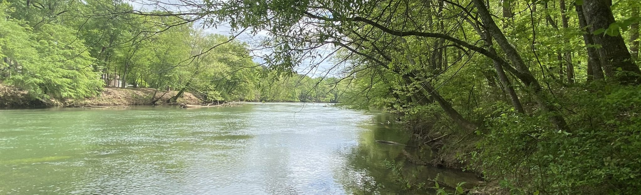 Jones Bridge Trail : 2250 Reviews, Map - Georgia | AllTrails