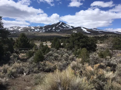 Best Walking Trails in Austin | AllTrails