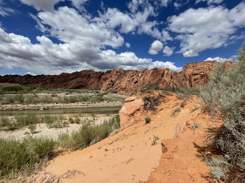 Best 10 Hikes and Trails in Red Cliffs National Conservation Area ...