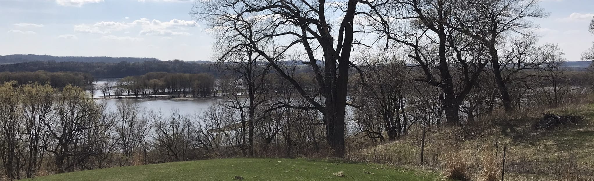 Casper Bluff Reserve Trail: 97 Reviews, Map - Illinois | AllTrails