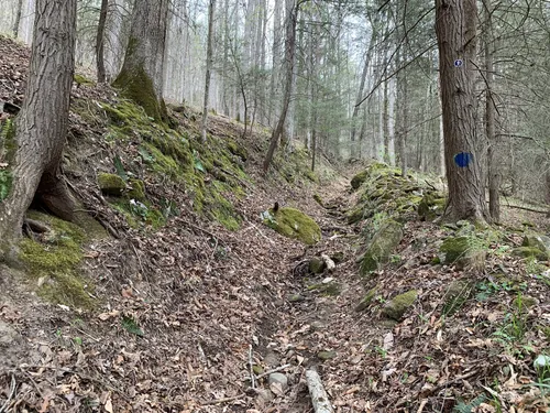 Best Views Trails in Dunlow | AllTrails