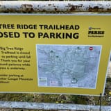 Big Tree Ridge Trail: Short Version, Washington - 269 Reviews, Map ...